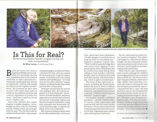 Daphne Neville appearing in the US magazine ‘All Creatures’ | Daphne ...